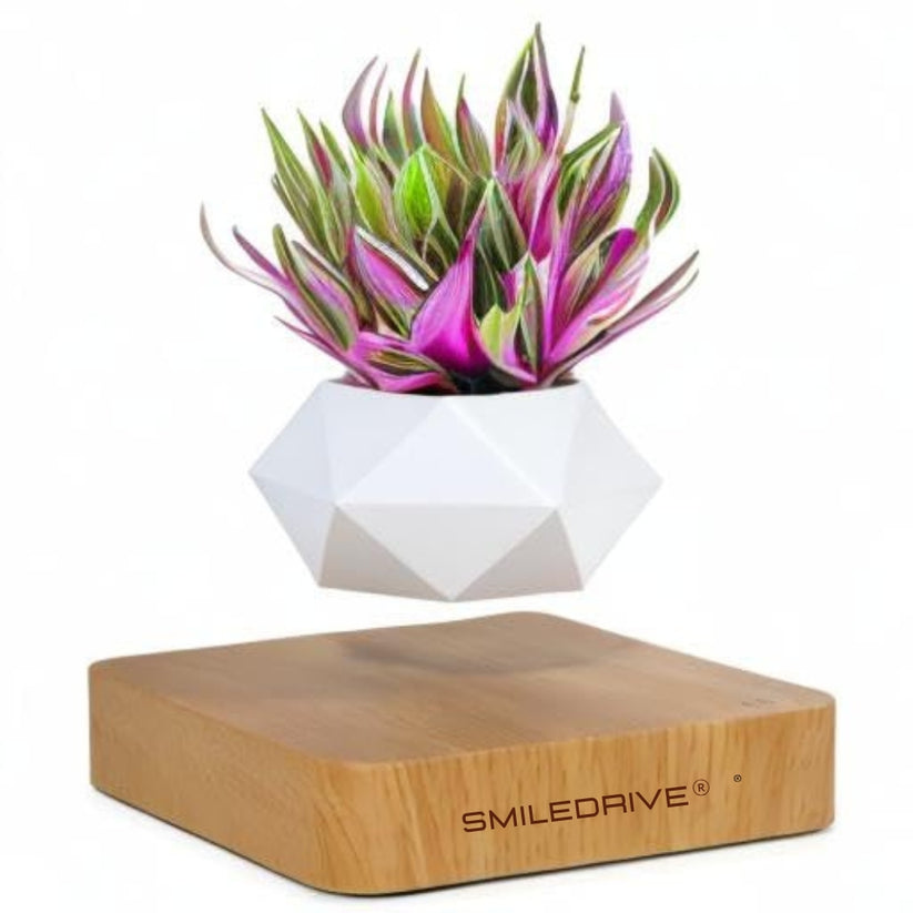 Magnetic Levitating Flower Pot - 360° Magnetic Rotation, Eco-Friendly ...